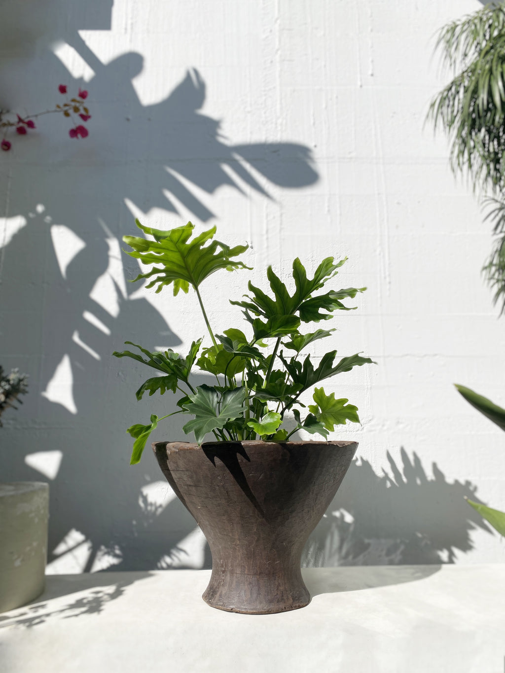 Antique Wooden Bowl – Babylon Store