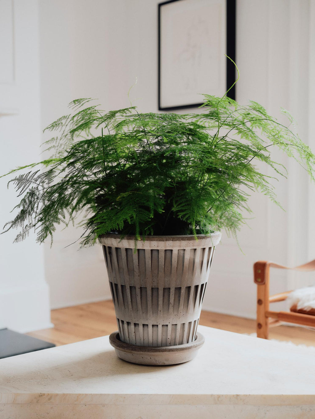 Pantheon – Babylon Store