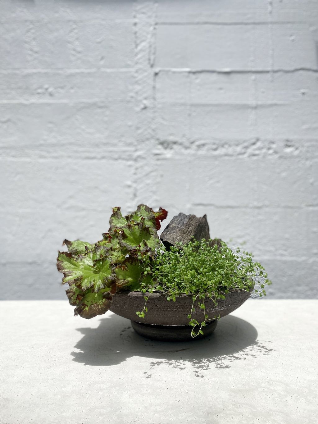 Peppy Ada Set – Babylon Store