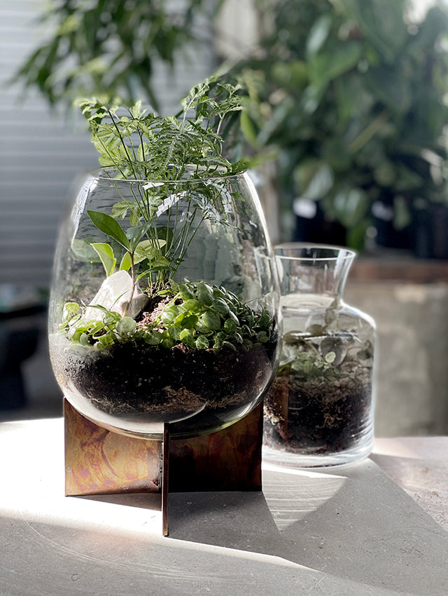 Terrarium workshop – Babylon Store