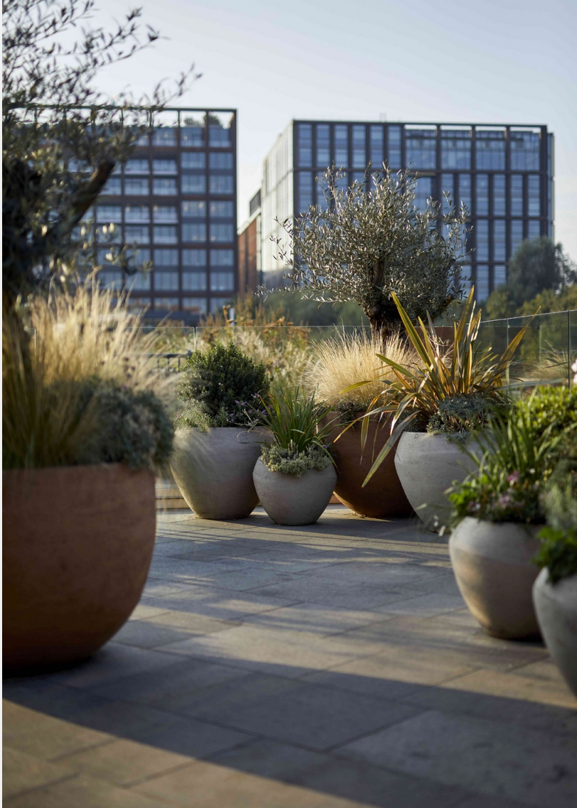 Large pots – Babylon Store