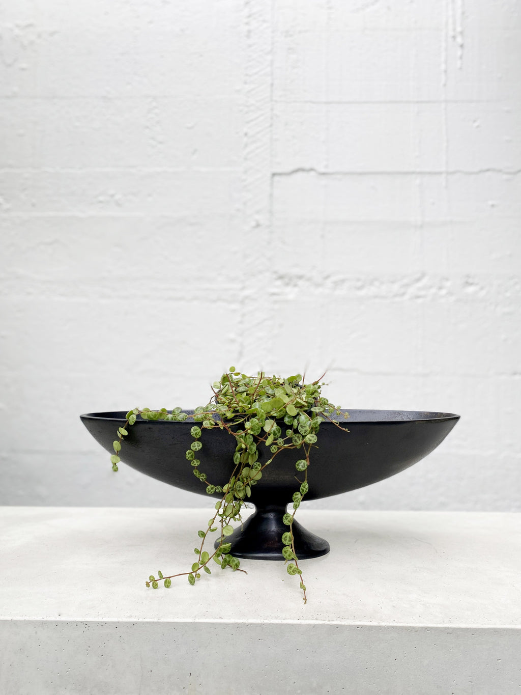 Foy bowl – Babylon Store