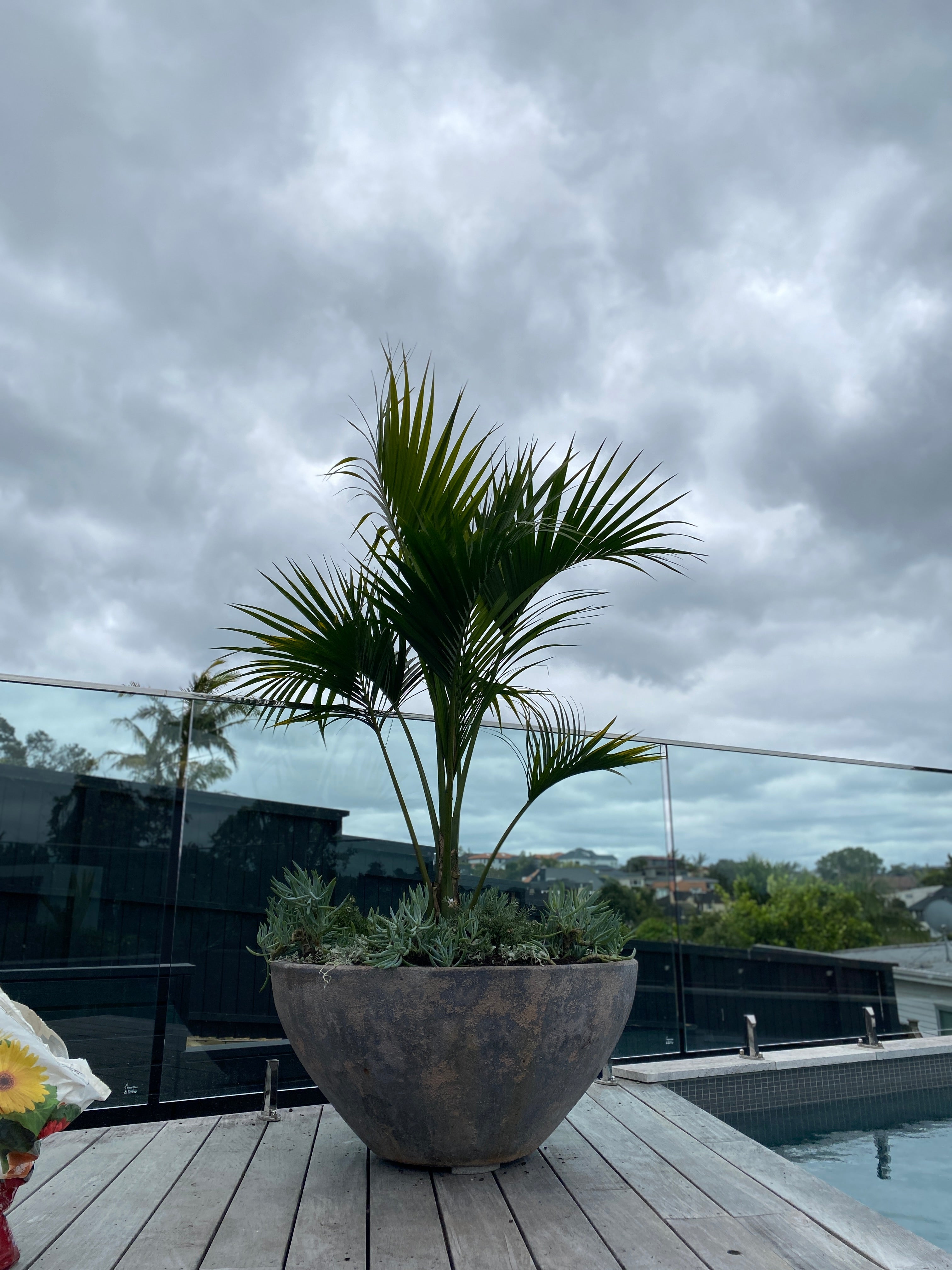 Sala Bowl Old Stone – Babylon Store