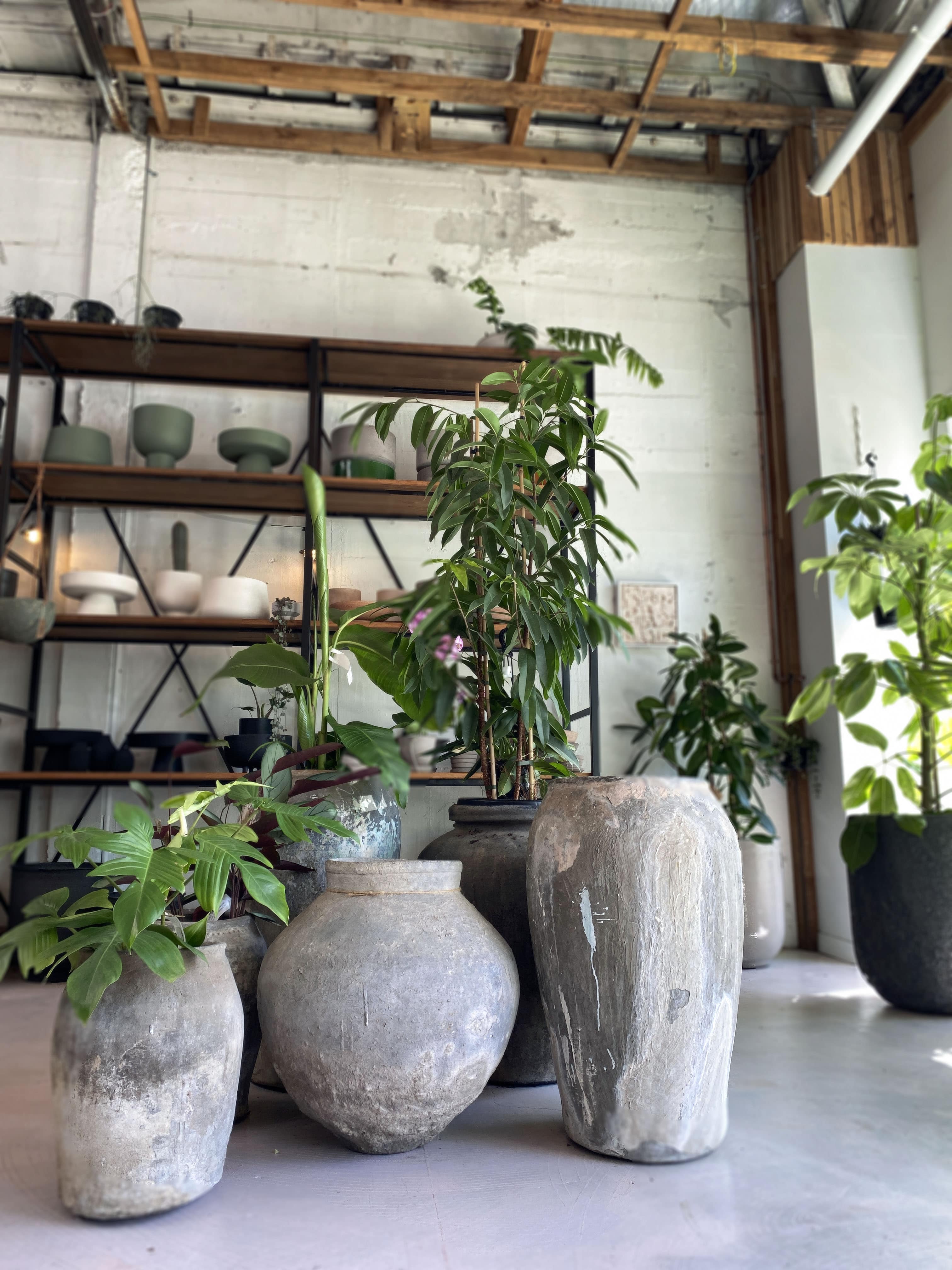 Original Clay Pot – Babylon Store