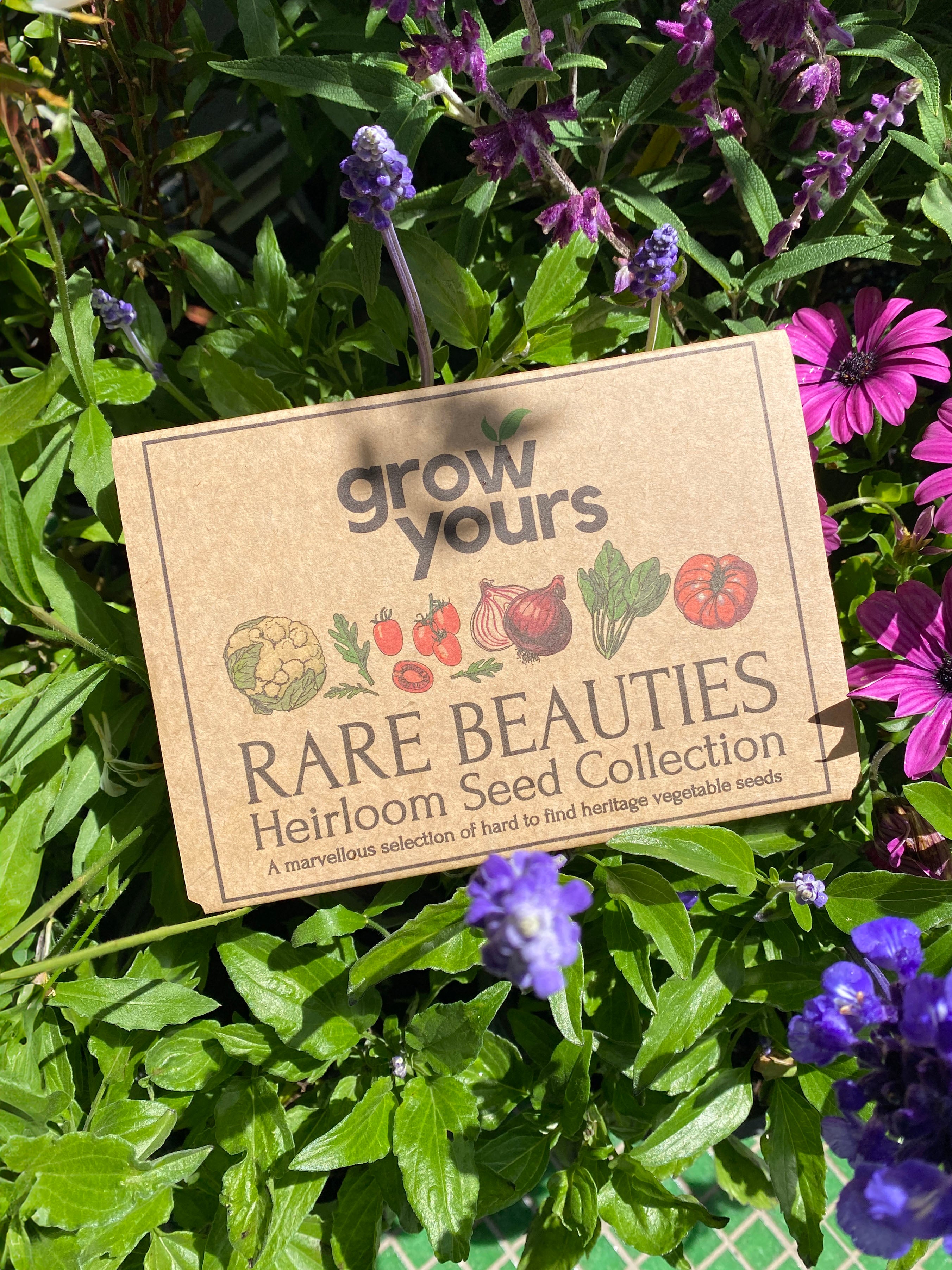 Grow Yours Rare beauties box – Babylon Store