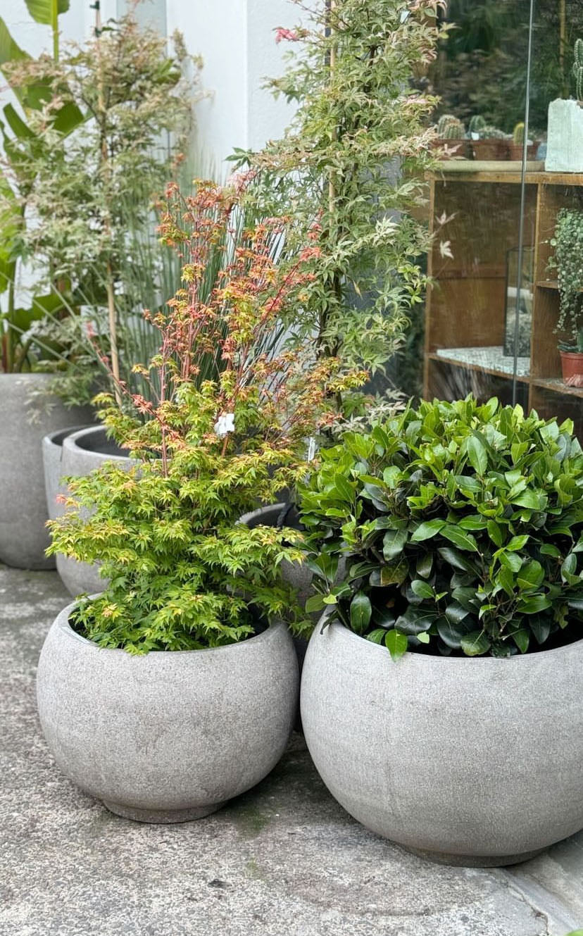 Riverstone Cut Ball Planter – Babylon Store
