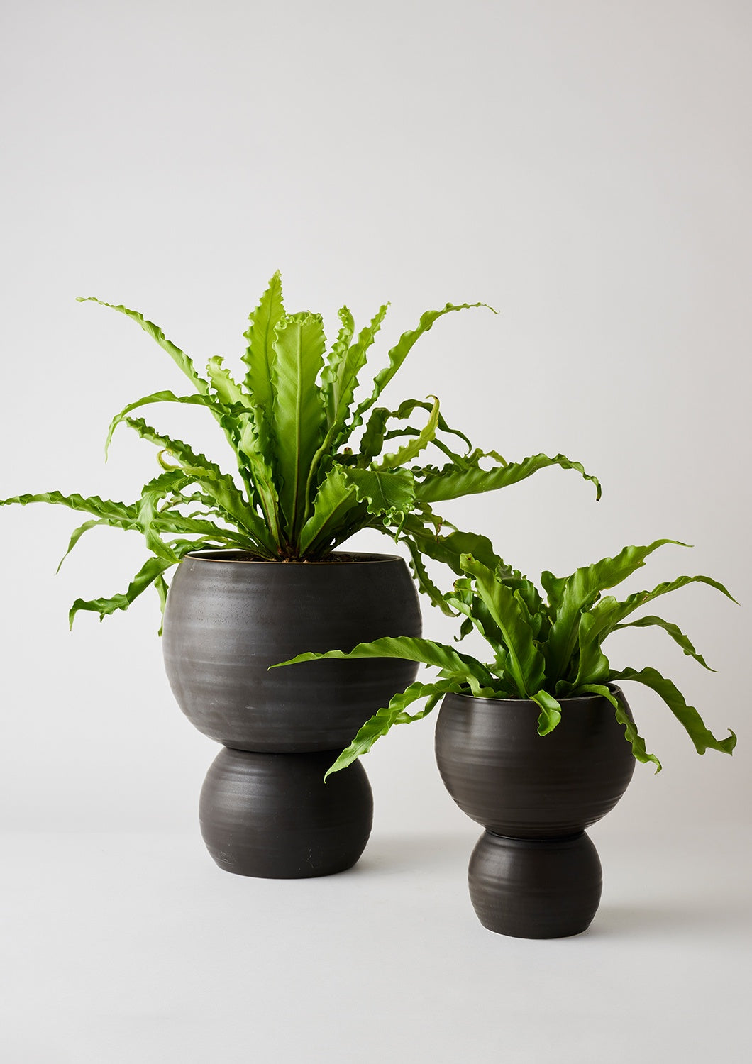 Spherical Plant Pot – Babylon Store