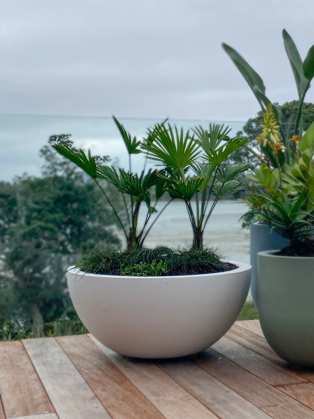 Barcelona – Babylon Store