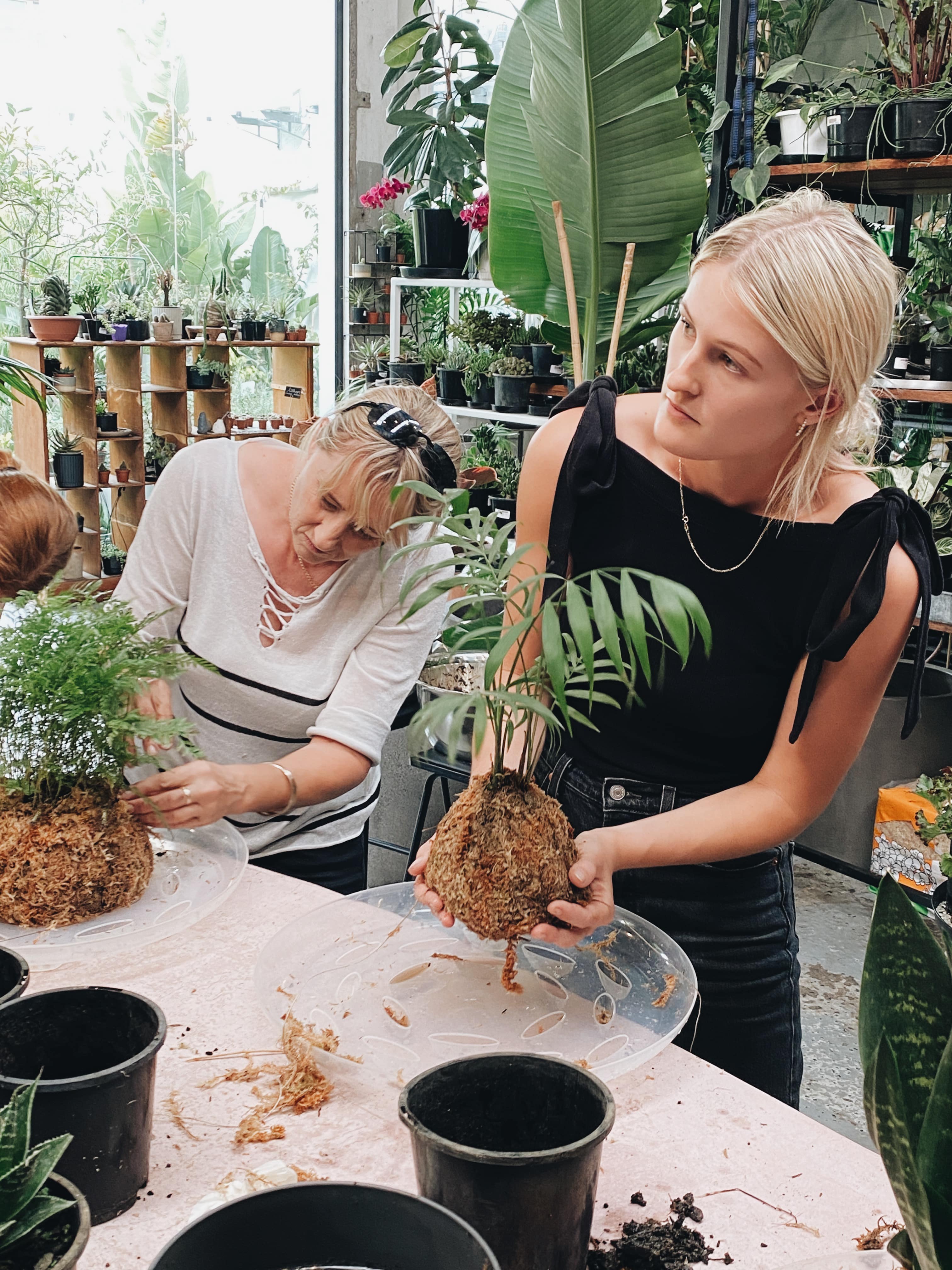 Kokedama Workshop – Babylon Store