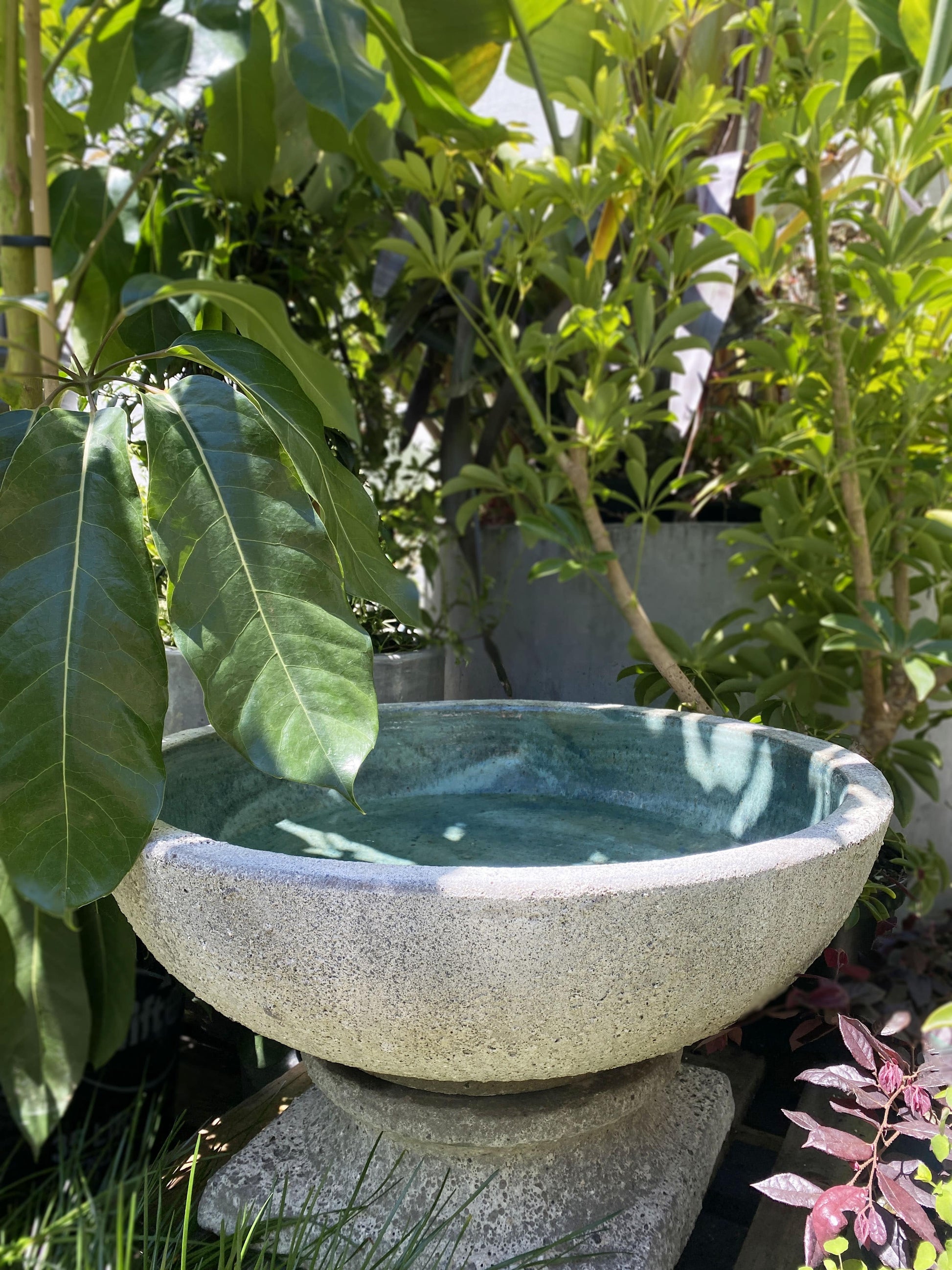 Pond Bowl – Babylon Store
